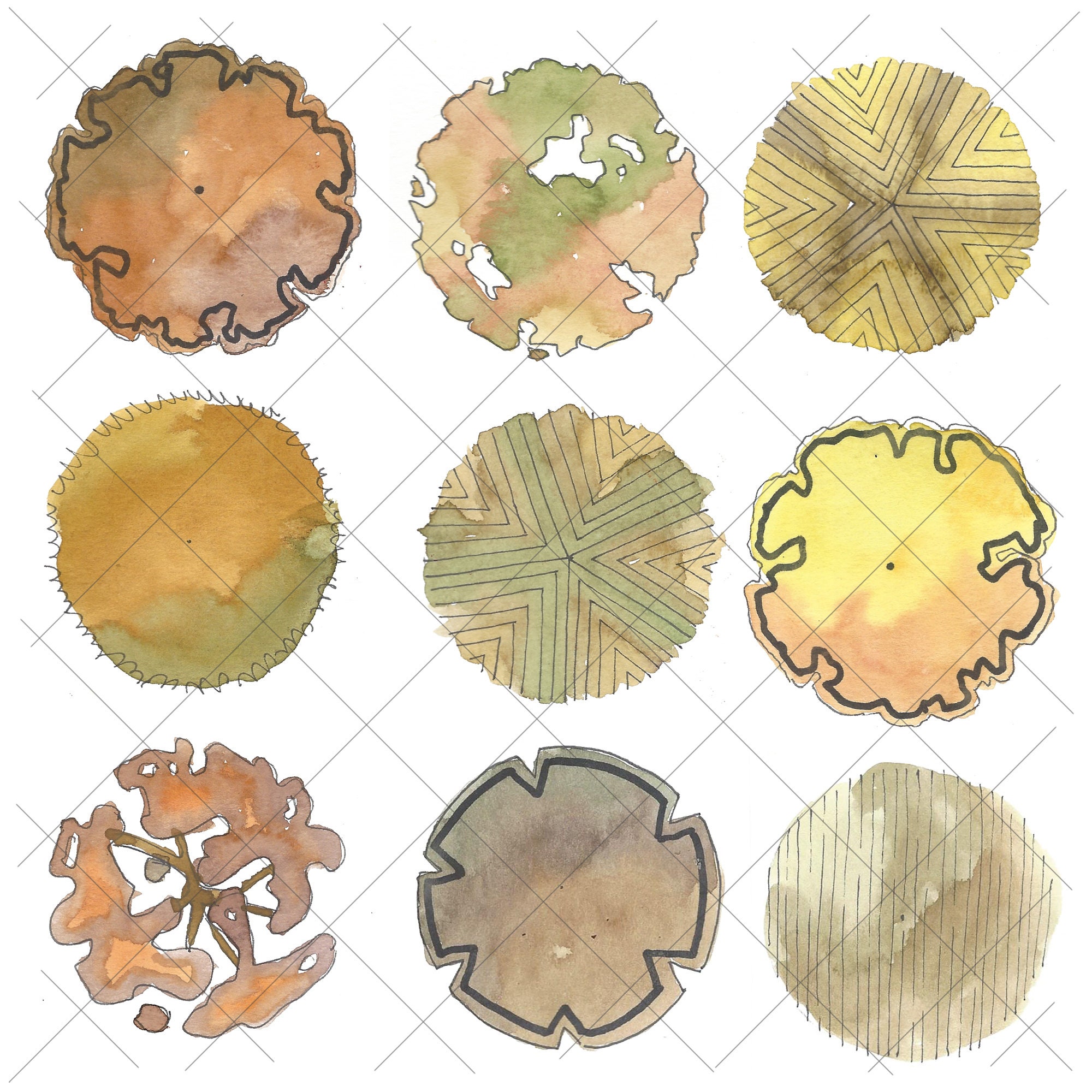 Landscape Graphics - Plan View Trees - Watercolor - Brown Variety - Etsy