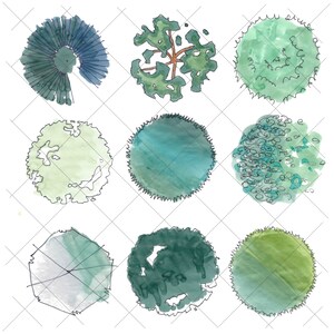 Landscape Graphics - Plan View Trees - Marker - Cool Green Variety - Etsy