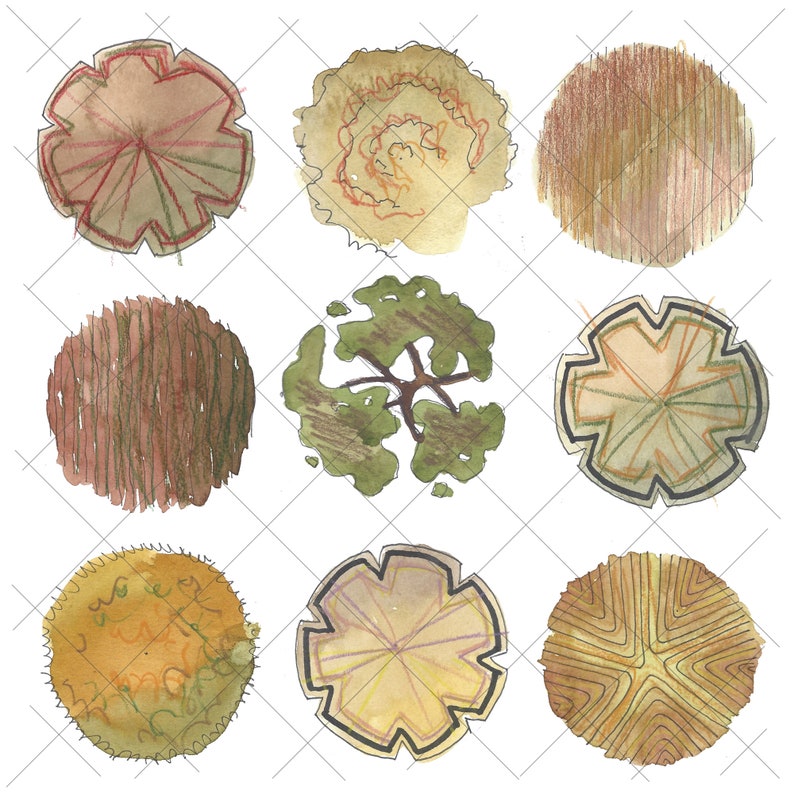 Landscape Graphics - Plan View Trees - Watercolor Pencil - Brown ...