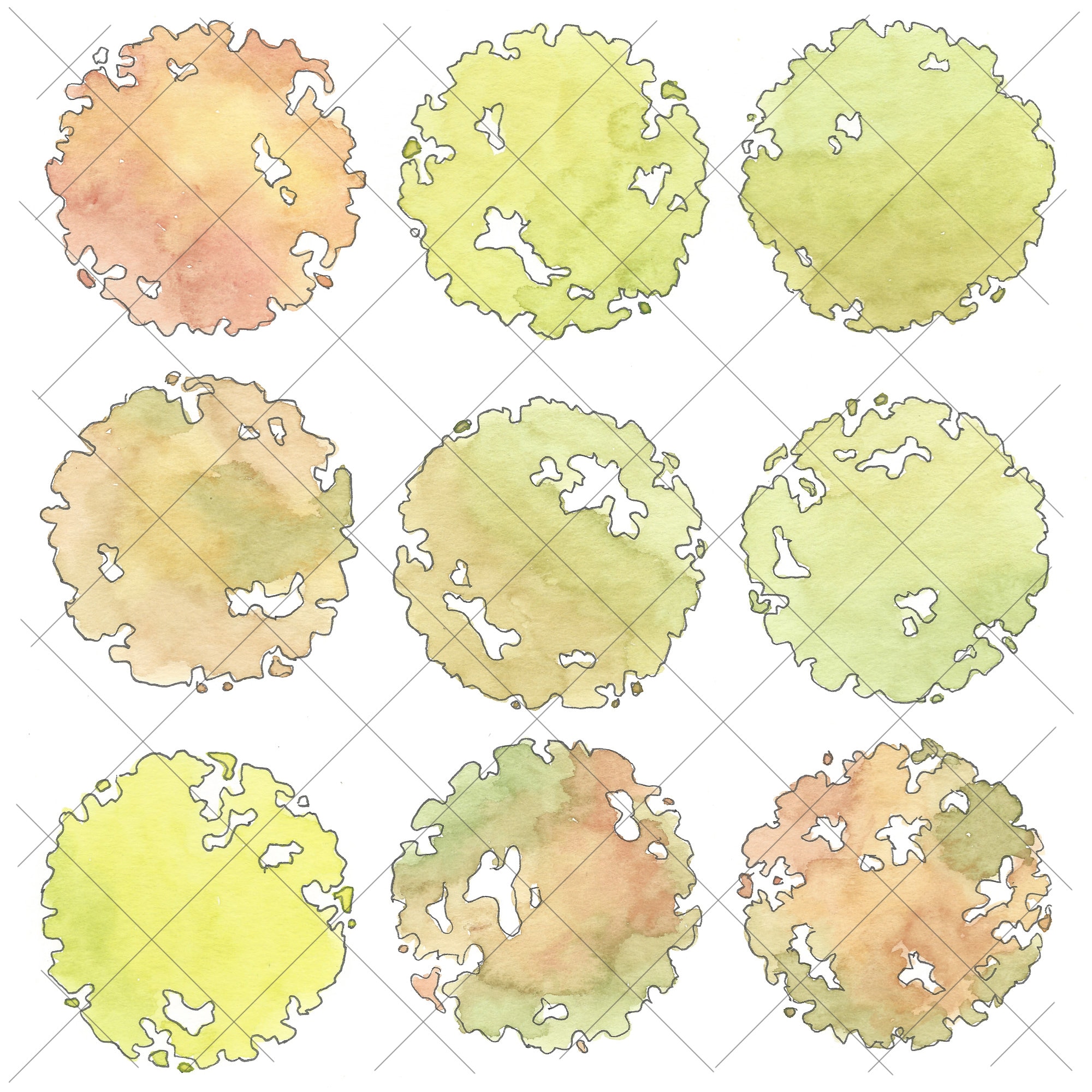 Landscape Graphics - Plan View Trees - Watercolor - Tree 001 - Part 2 ...