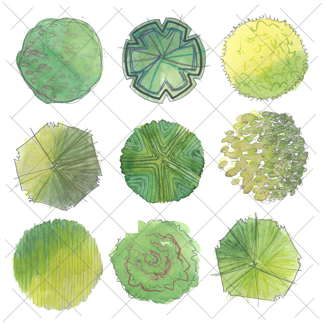 Landscape Graphics - Plan View Trees - Watercolor Pencil - Bright Green ...