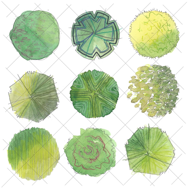 Landscape Graphics - Plan View Trees - Watercolor Pencil - Bright Green ...