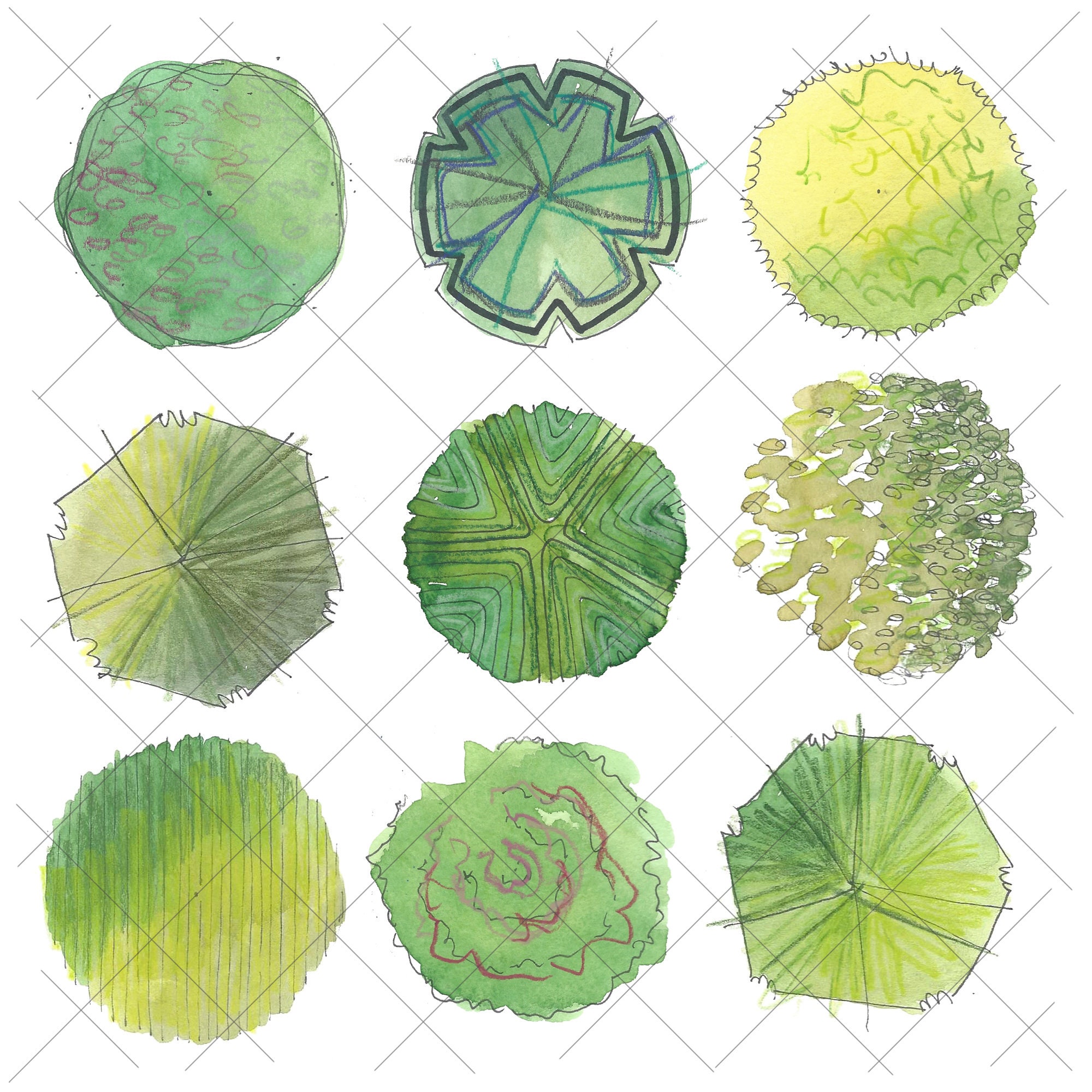 Landscape Graphics - Plan View Trees - Watercolor Pencil - Bright Green ...