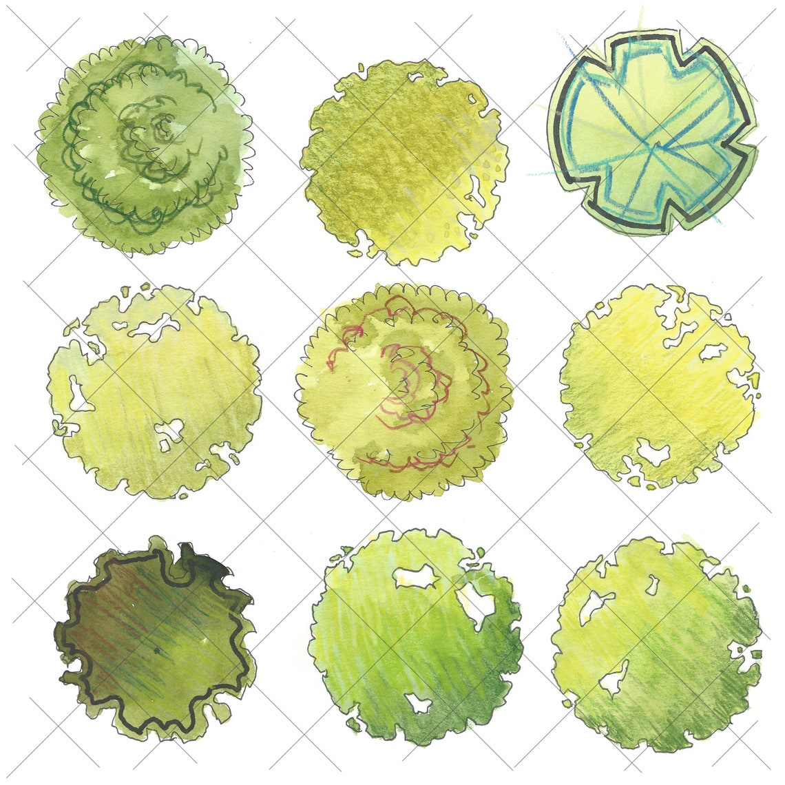 Landscape Graphics - Plan View Trees - Watercolor Pencil - Bright Green ...