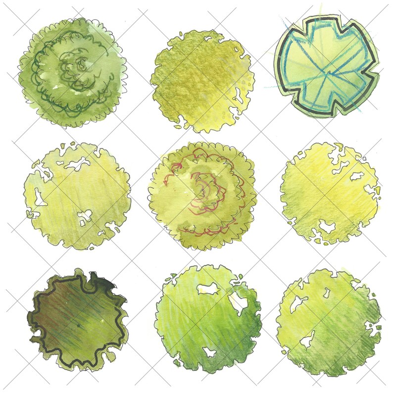 Landscape Graphics - Plan View Trees - Watercolor Pencil - Bright Green ...