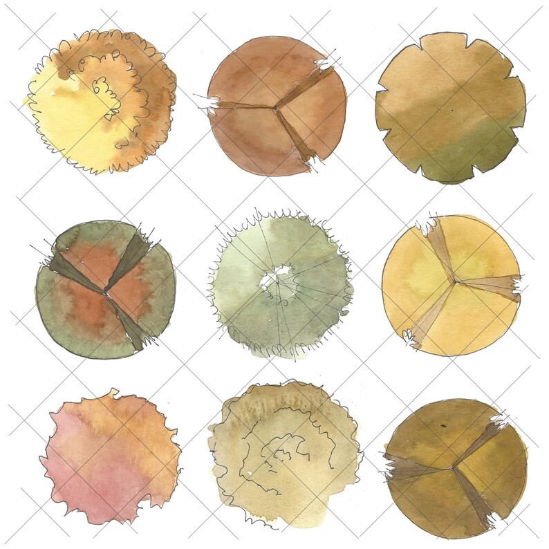 Landscape Graphics - Plan View Trees - Watercolor - Brown Variety - Etsy