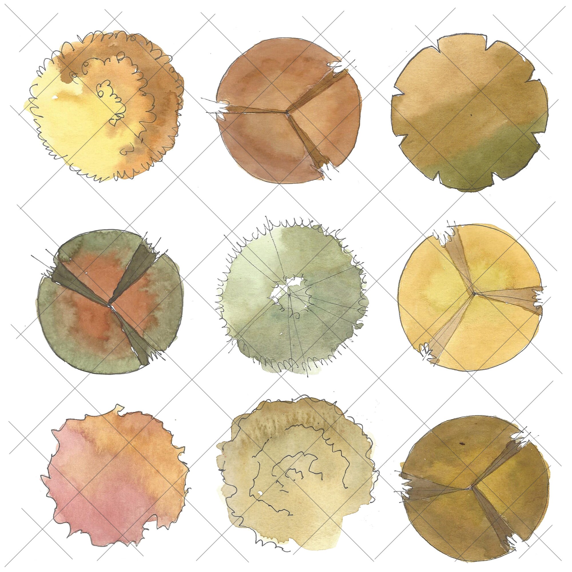 Landscape Graphics - Plan View Trees - Watercolor - Brown Variety - Etsy