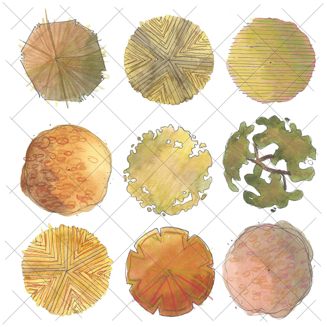 Landscape Graphics - Plan View Trees - Watercolor Pencil - Brown ...