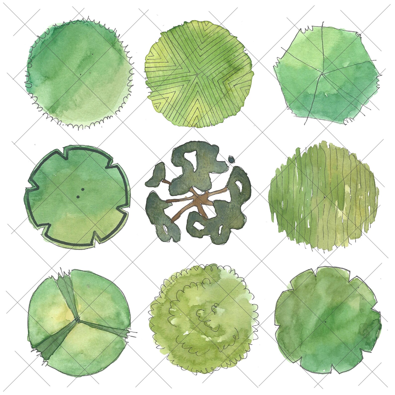 Landscape Graphics - Plan View Trees - Watercolor - Bright Green ...