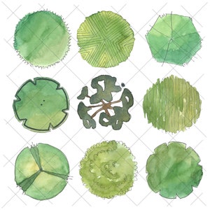 Landscape Graphics - Plan View Trees - Watercolor - Bright Green ...