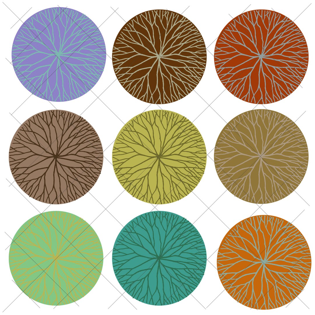 Landscape Graphics - Plan View Trees - Digital - Tree_101 - Etsy