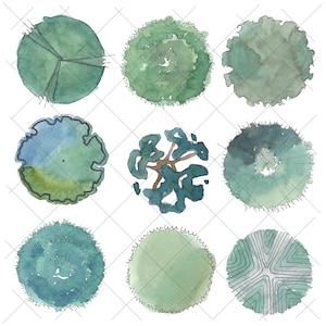 Landscape Graphics - Plan View Trees - Watercolor - Cool Green Variety ...