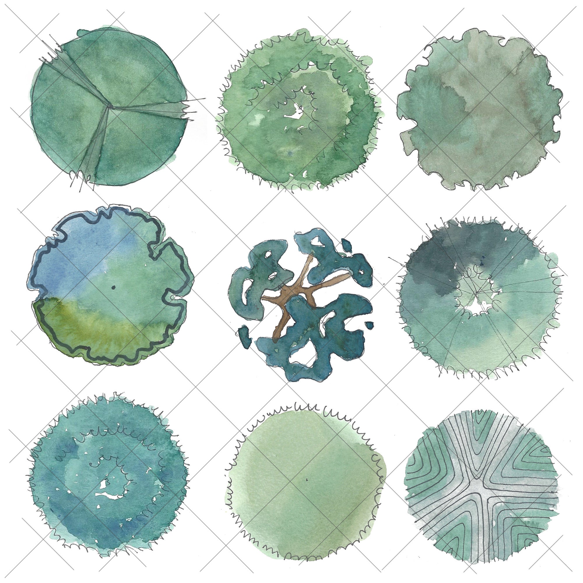 Landscape Graphics - Plan View Trees - Watercolor - Cool Green Variety ...