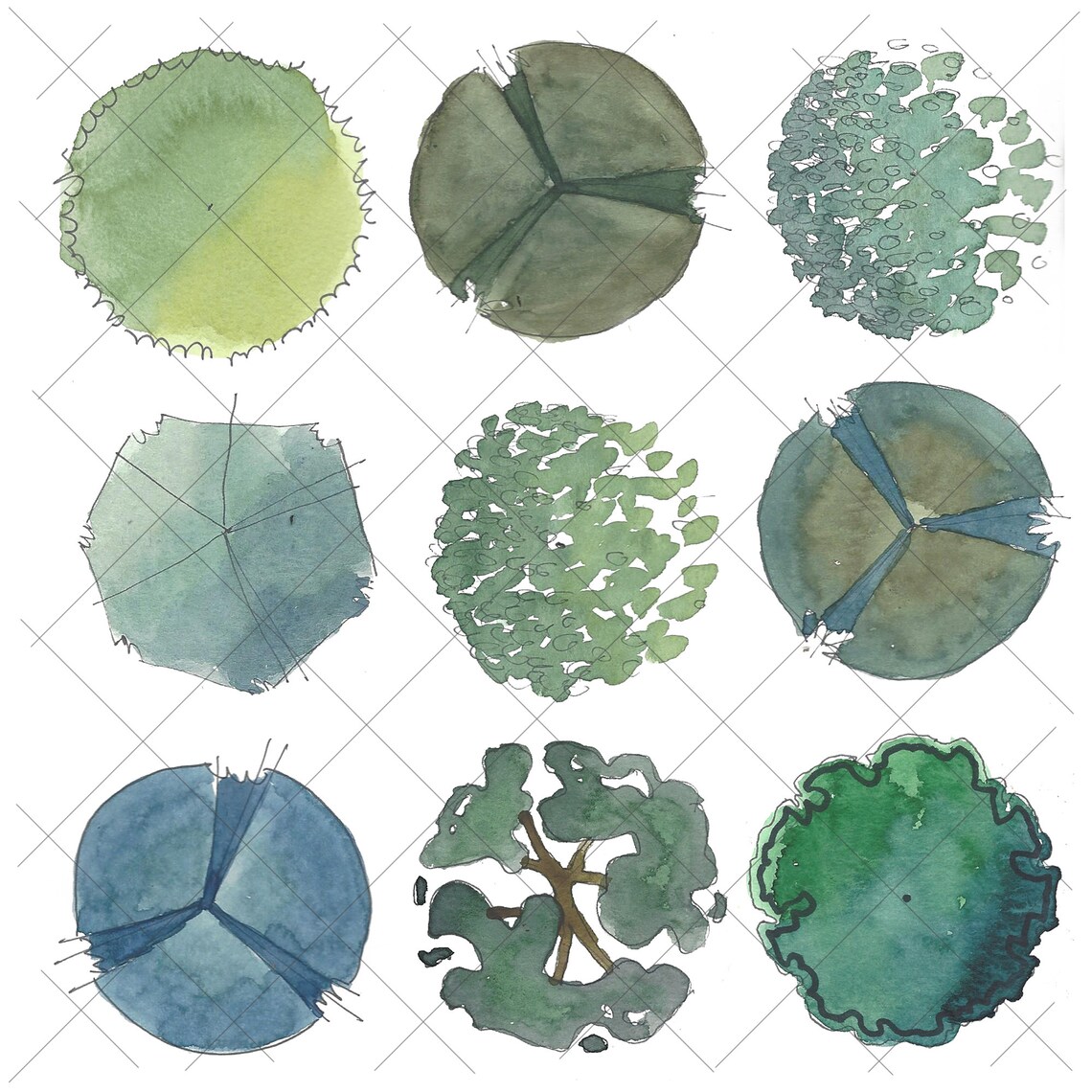Landscape Graphics - Plan View Trees - Watercolor - Cool Green Variety ...