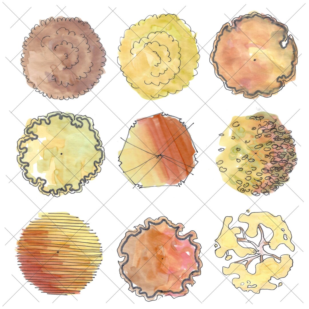 Landscape Graphics - Plan View Trees - Marker - Brown Variety - Etsy