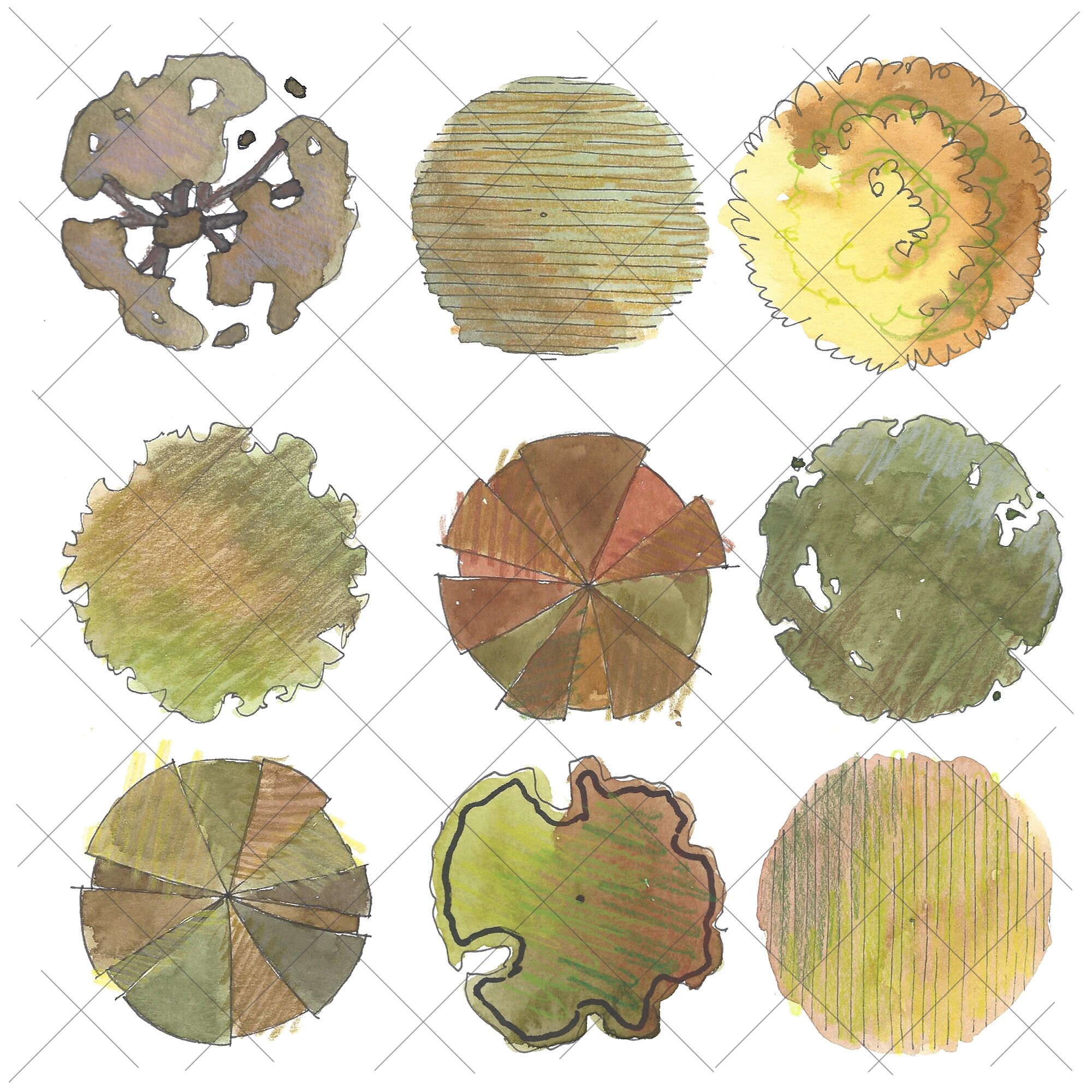 Landscape Graphics - Plan View Trees - Watercolor Pencil - Brown ...