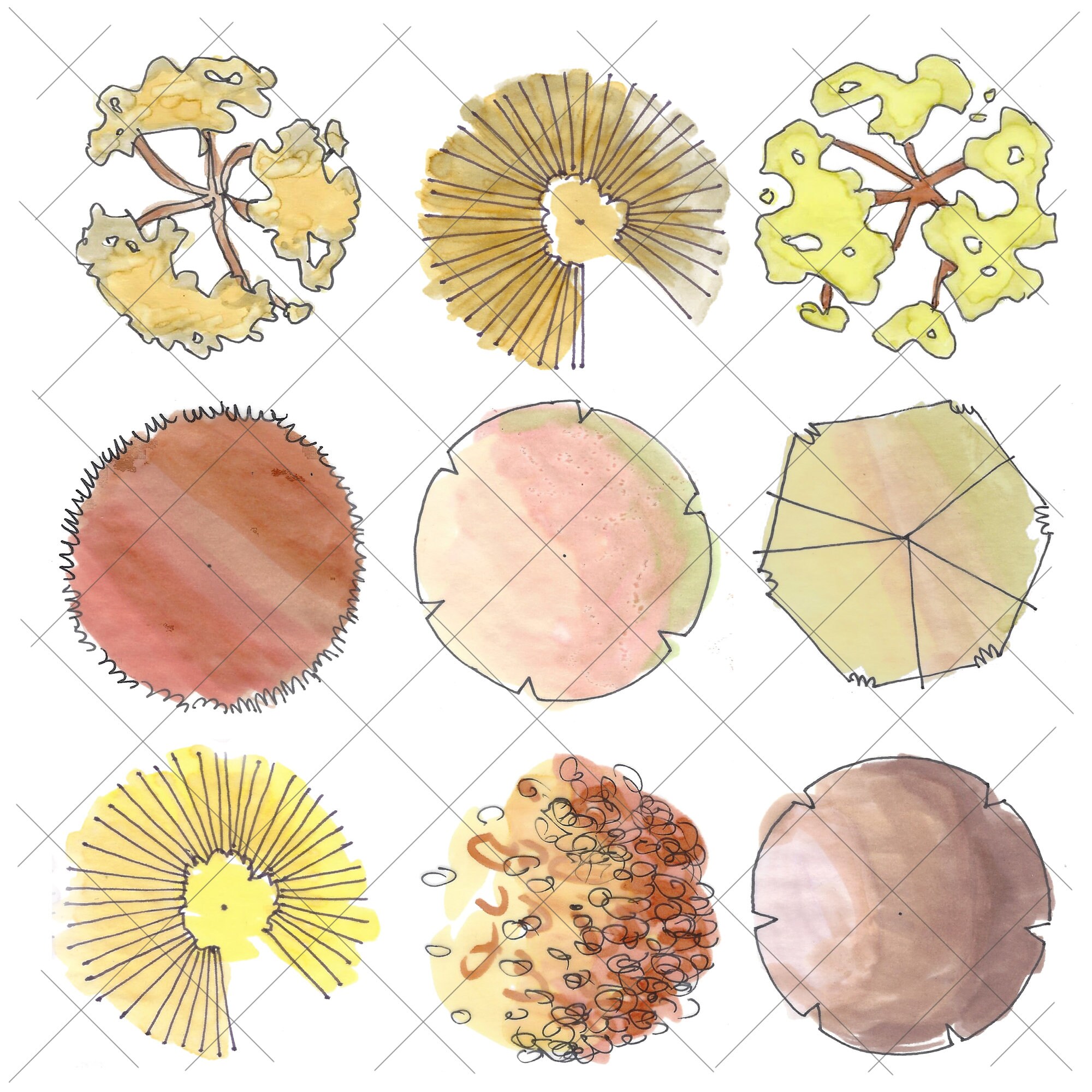 Landscape Graphics Plan View Trees Marker Brown Variety - Etsy