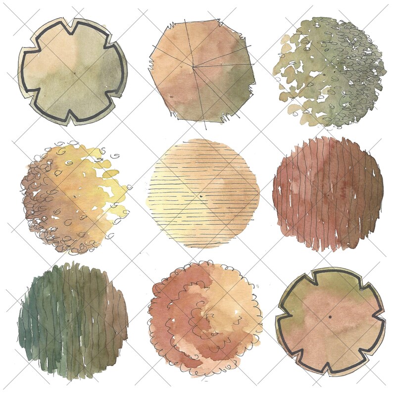 Landscape Graphics - Plan View Trees - Watercolor - Brown Variety - Etsy