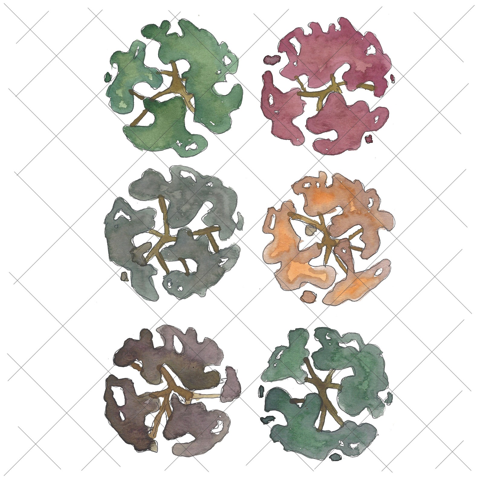 Landscape Graphics - Plan View Trees - Watercolor - Tree 011 - Etsy