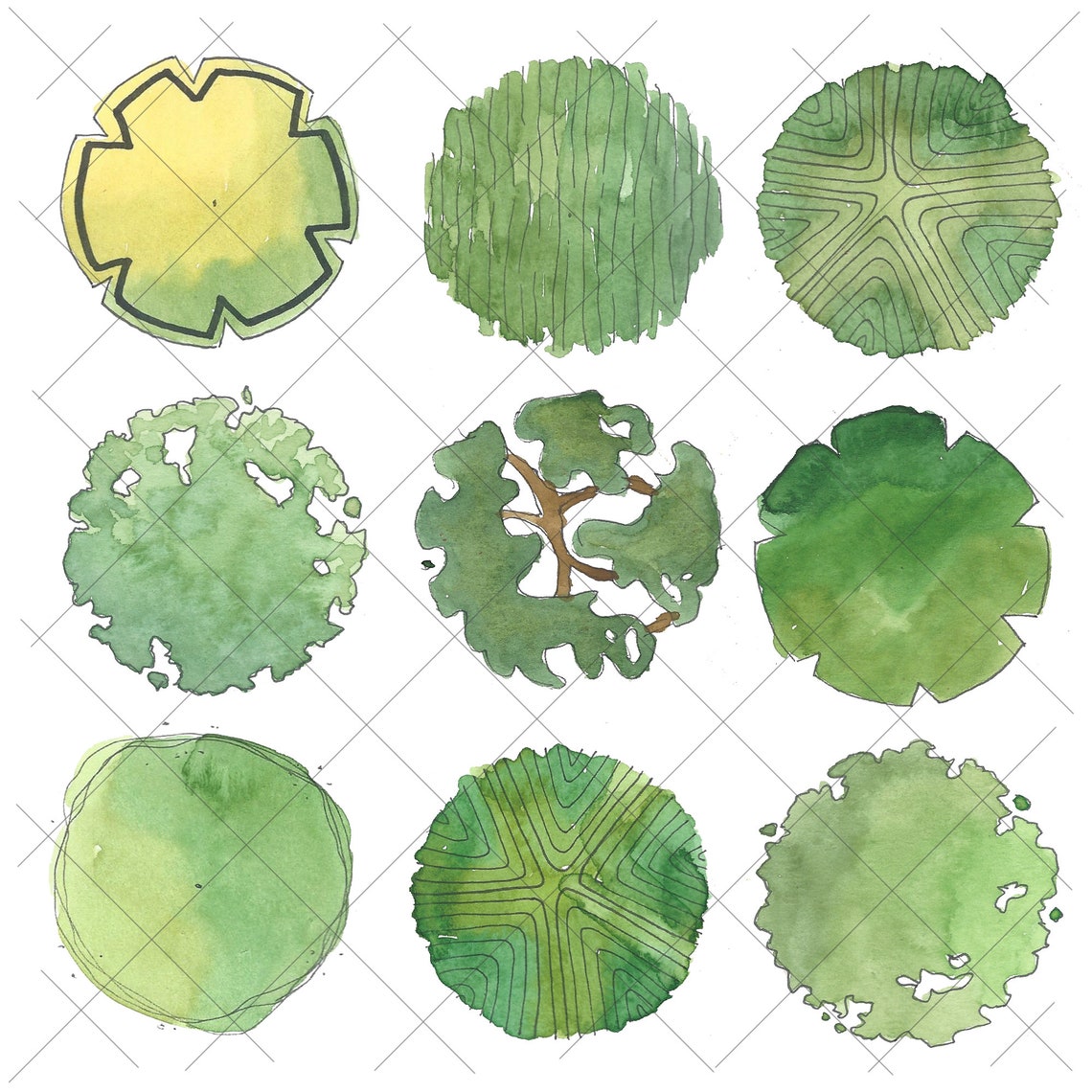 Landscape Graphics - Plan View Trees - Watercolor - Bright Green ...