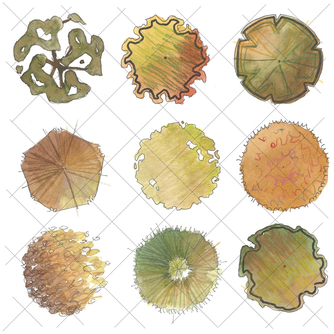 Landscape Graphics - Plan View Trees - Watercolor Pencil - Brown ...