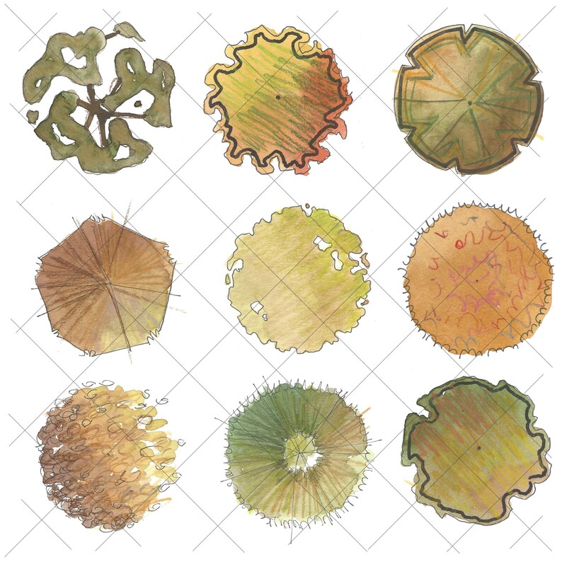 Landscape Graphics - Plan View Trees - Watercolor Pencil - Brown ...