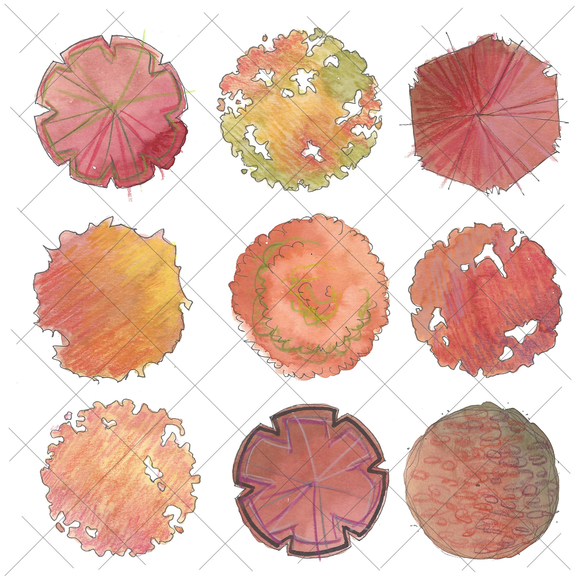 Landscape Graphics - Plan View Trees - Watercolor Pencil - Red Variety ...