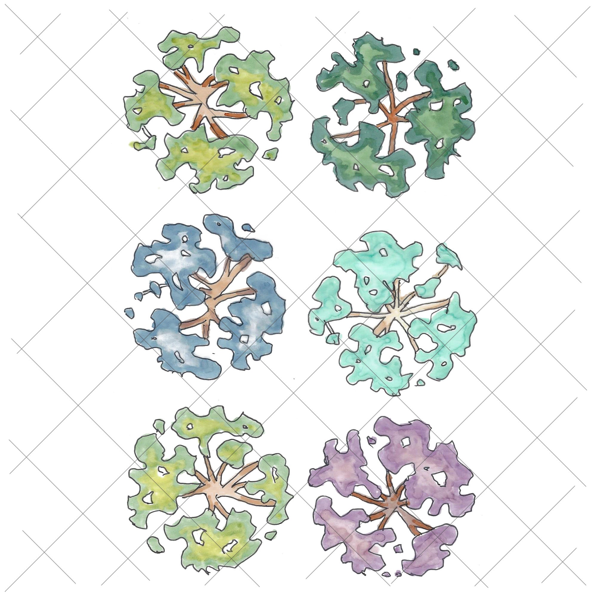 Landscape Graphics - Plan View Trees - Marker - Tree 011 - Etsy