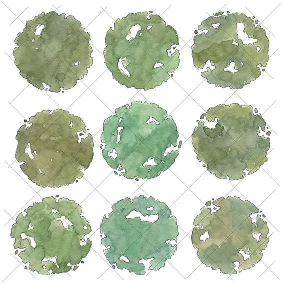 Landscape Graphics Plan View Trees Watercolor Tree 001 - Etsy