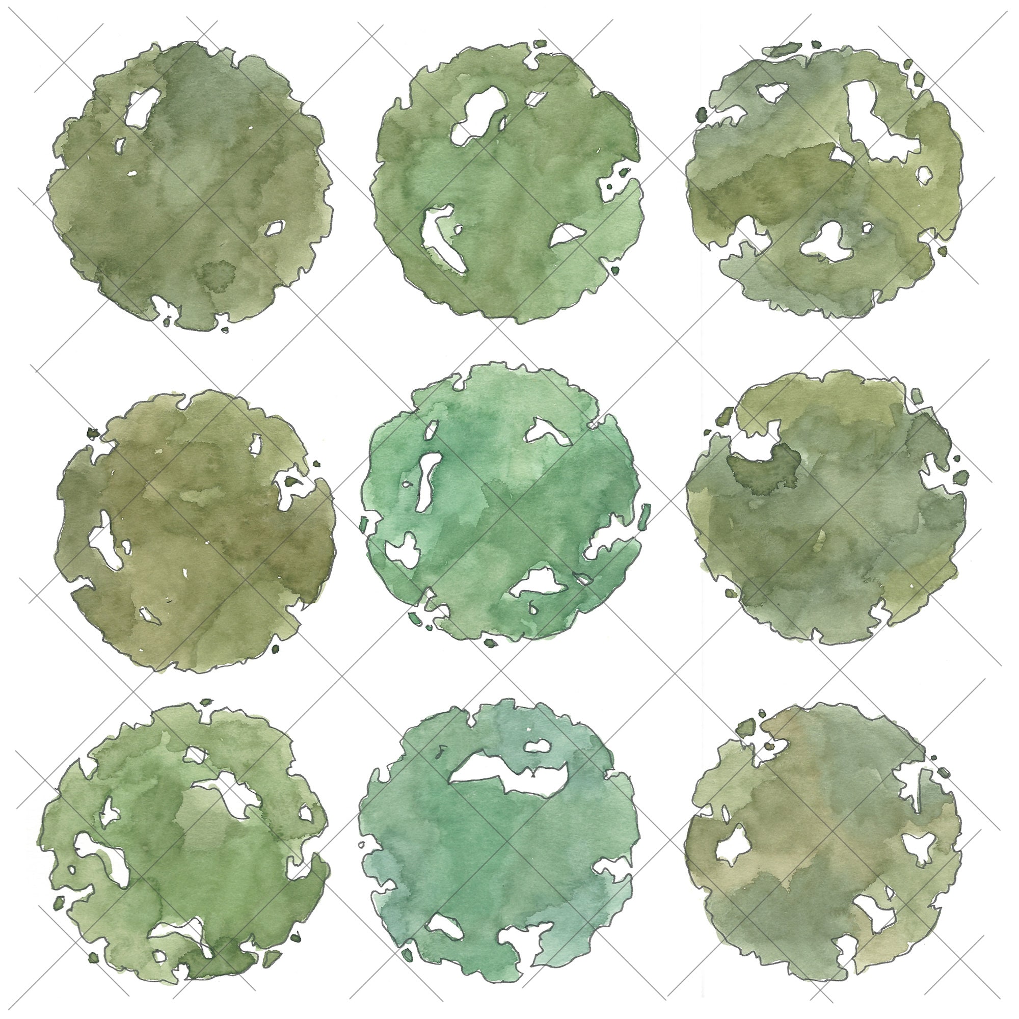 Landscape Graphics Plan View Trees Watercolor Tree 001 - Etsy