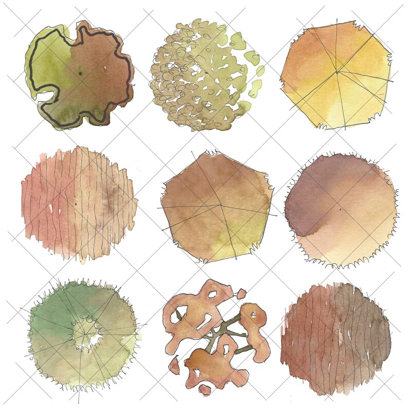 Landscape Graphics - Plan View Trees - Watercolor - Brown Variety - Etsy