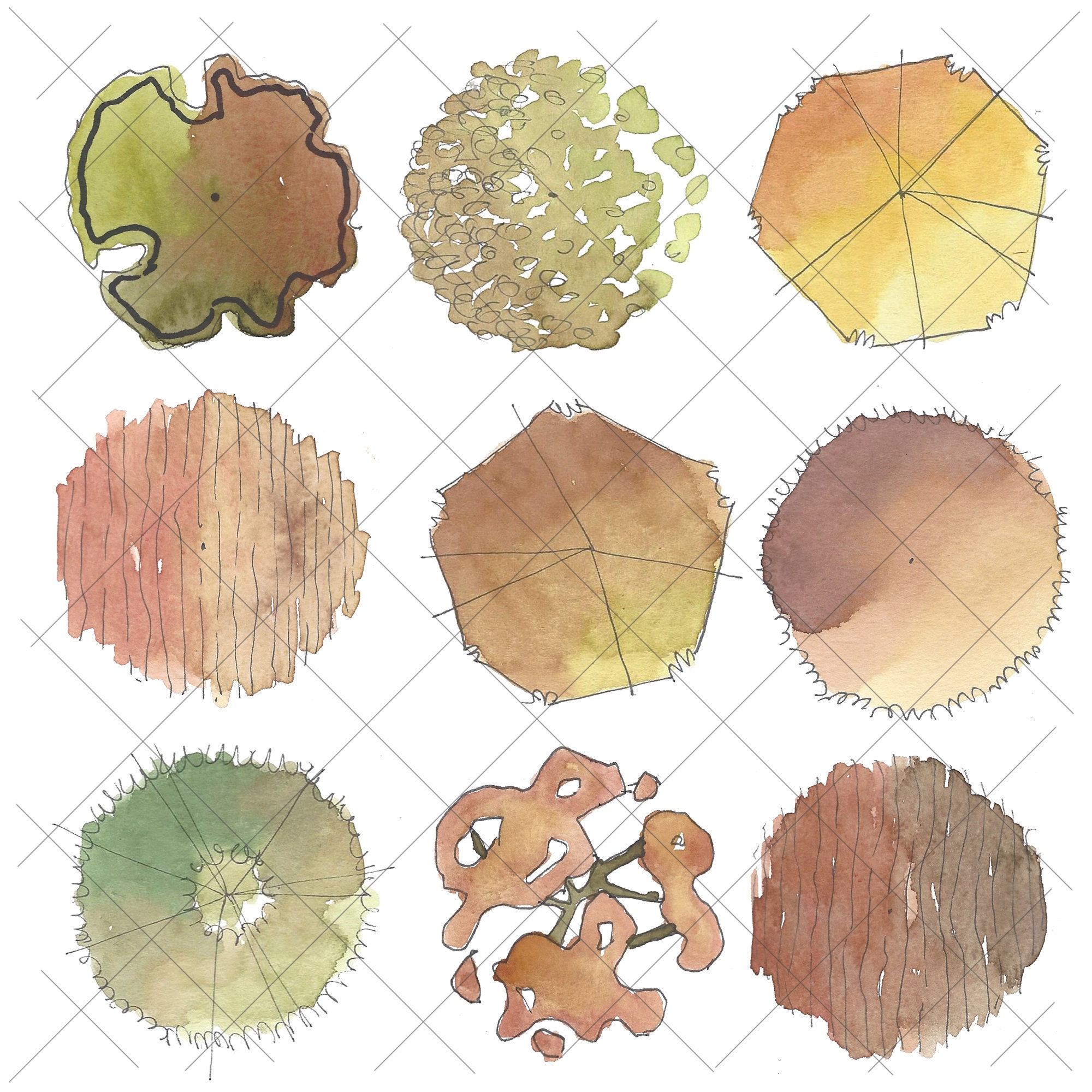 Landscape Graphics - Plan View Trees - Watercolor - Brown Variety - Etsy