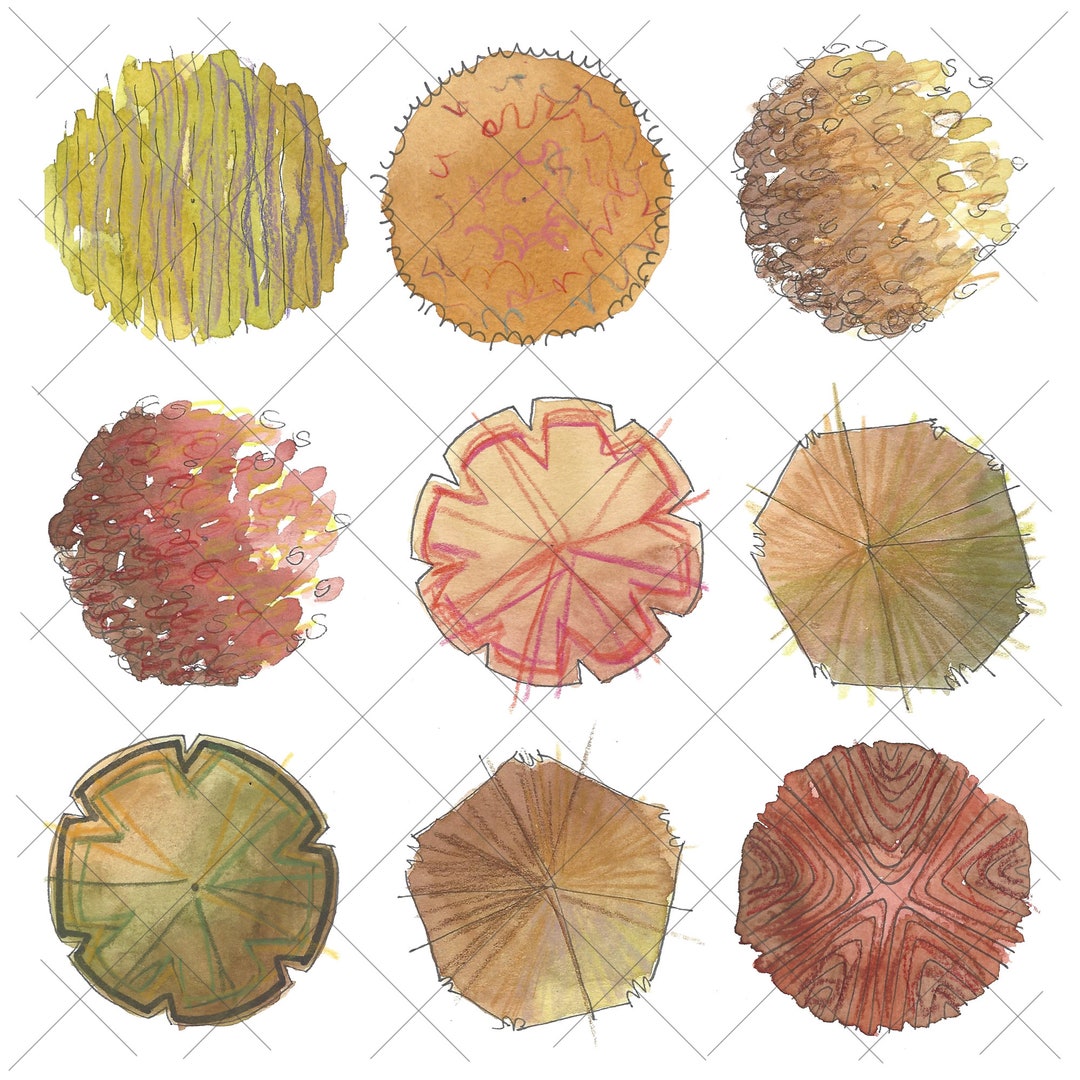 Landscape Graphics - Plan View Trees - Watercolor Pencil - Fall Variety ...