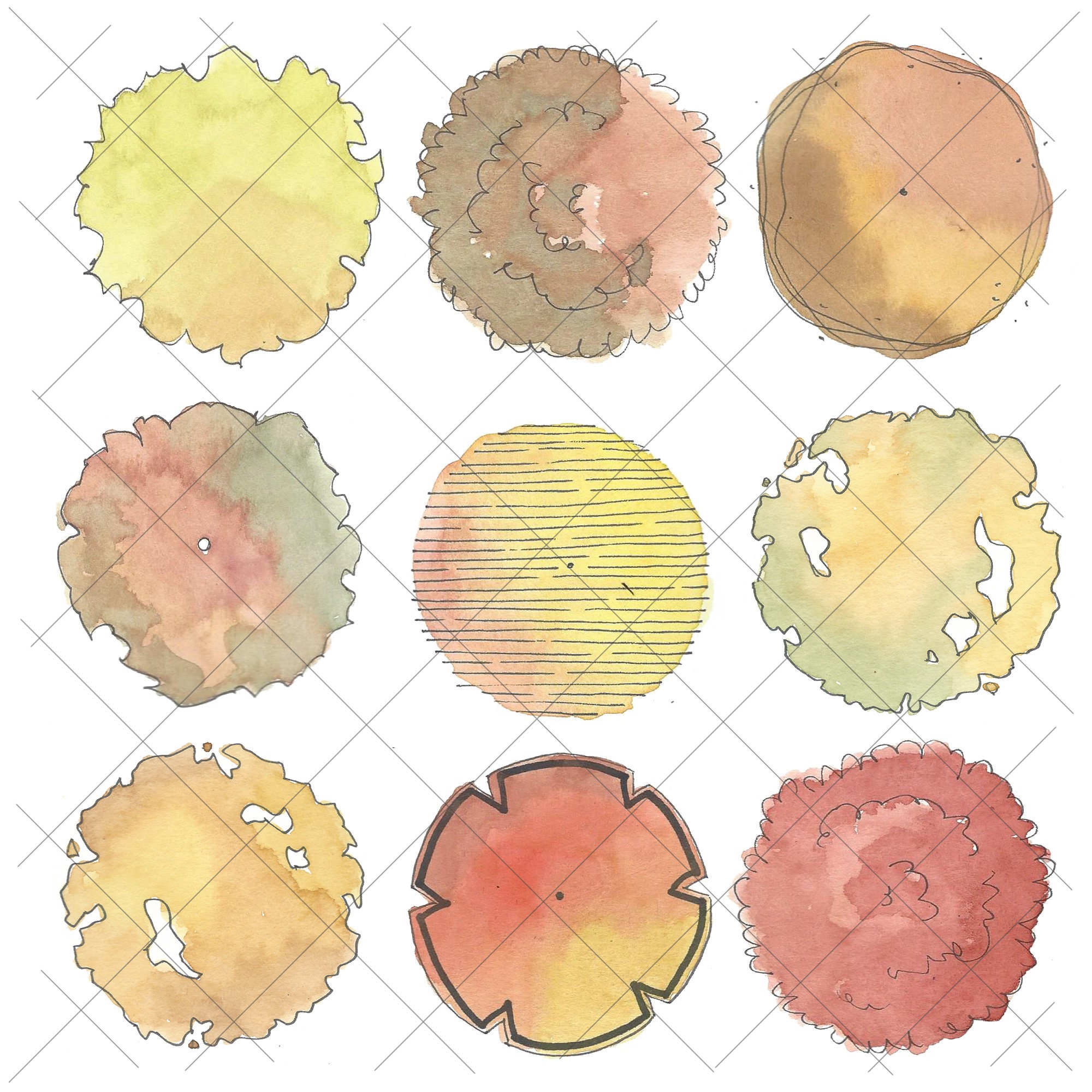 Landscape Graphics - Plan View Trees - Watercolor - Fall Variety - Etsy