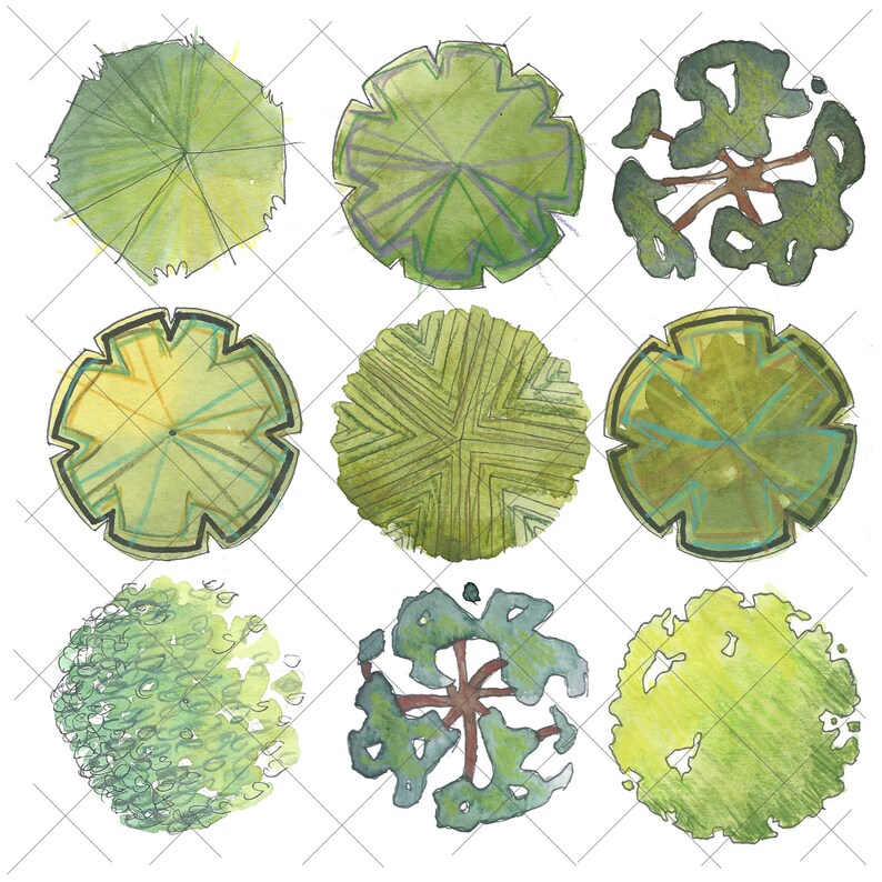 Landscape Graphics - Plan View Trees - Watercolor Pencil - Bright Green ...