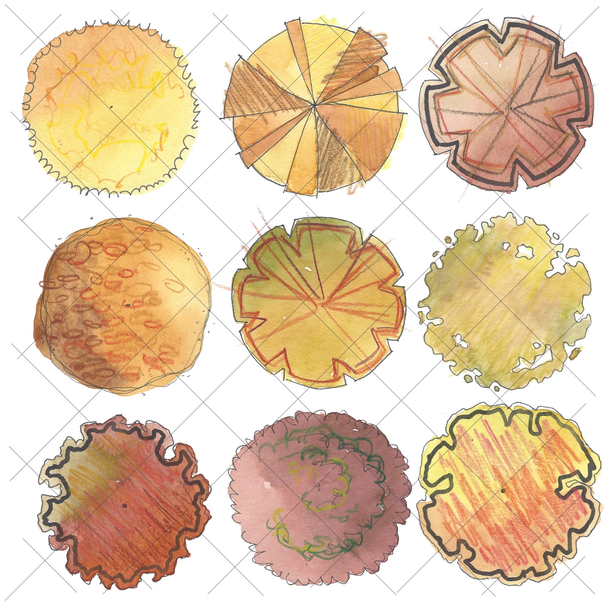 Landscape Graphics - Plan View Trees - Watercolor Pencil - Fall Variety ...