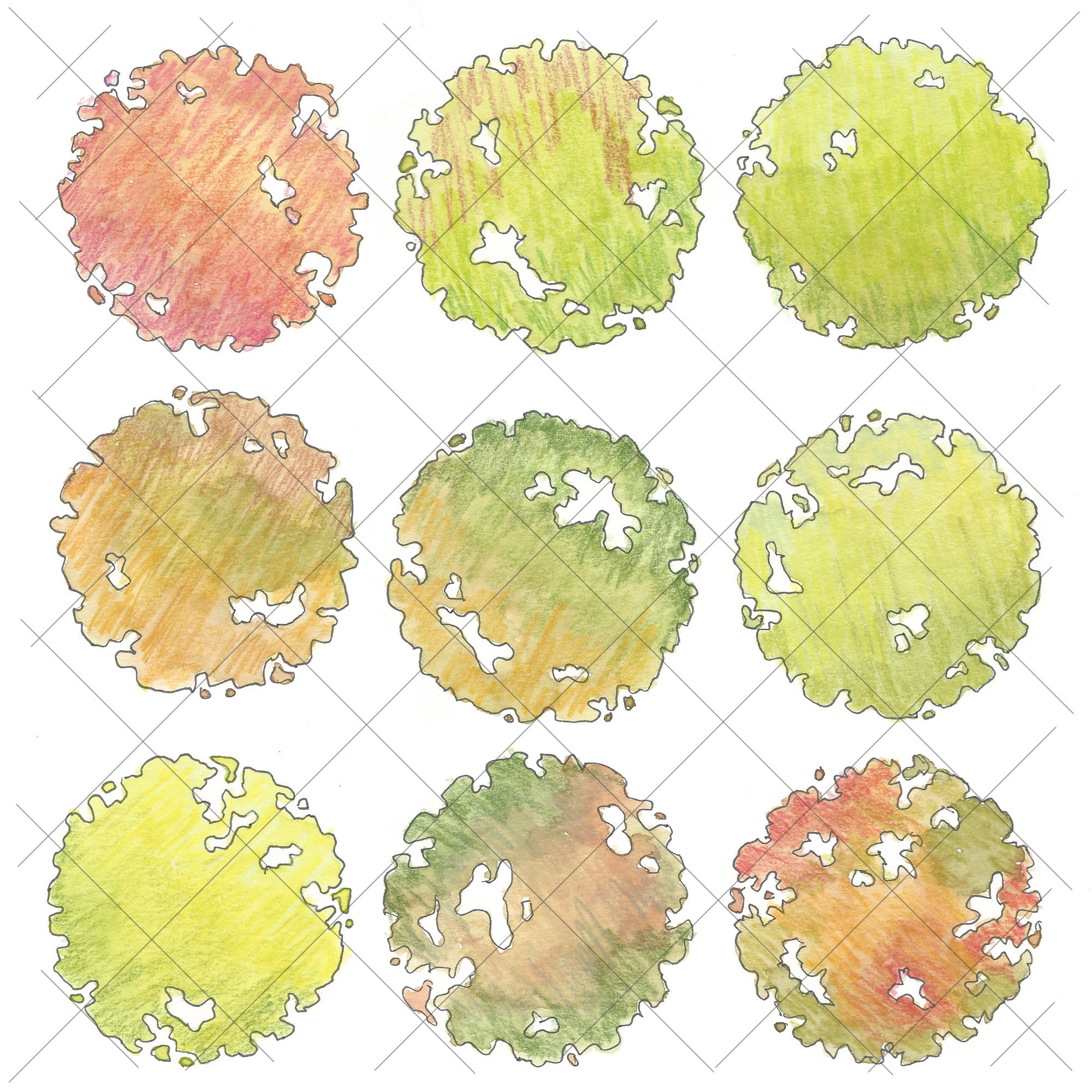 Landscape Graphics - Plan View Trees - Watercolor Pencil - Tree 001 ...