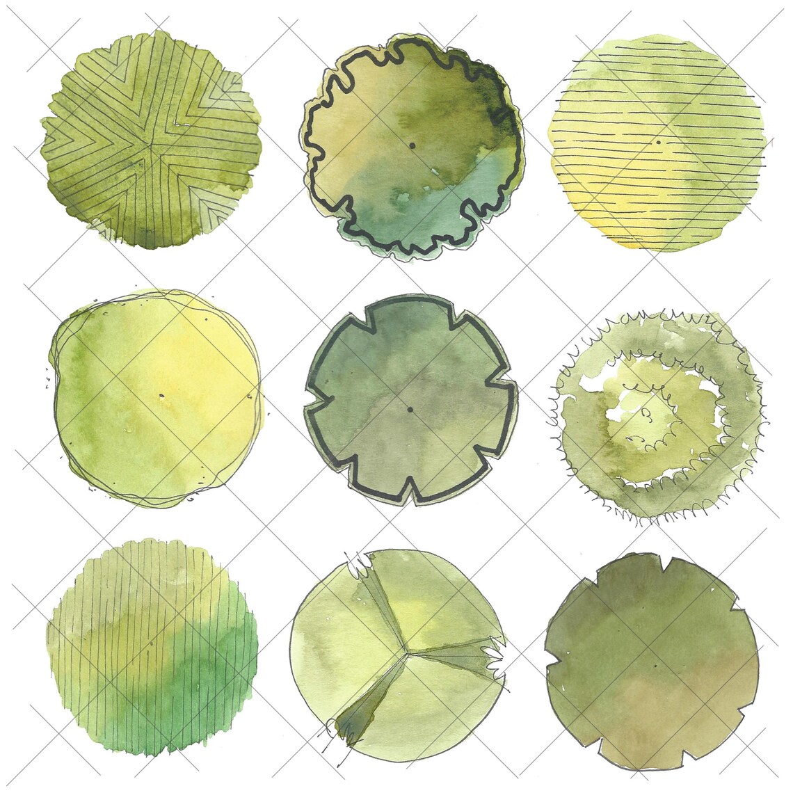 Landscape Graphics - Plan View Trees - Watercolor - Warm Green Variety ...