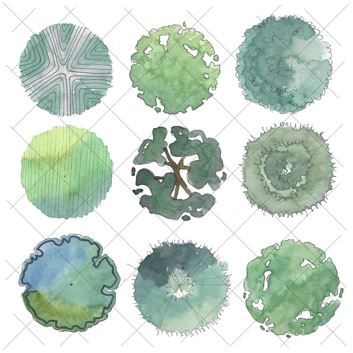 Landscape Graphics - Plan View Trees - Watercolor Pencil - Cool Green ...