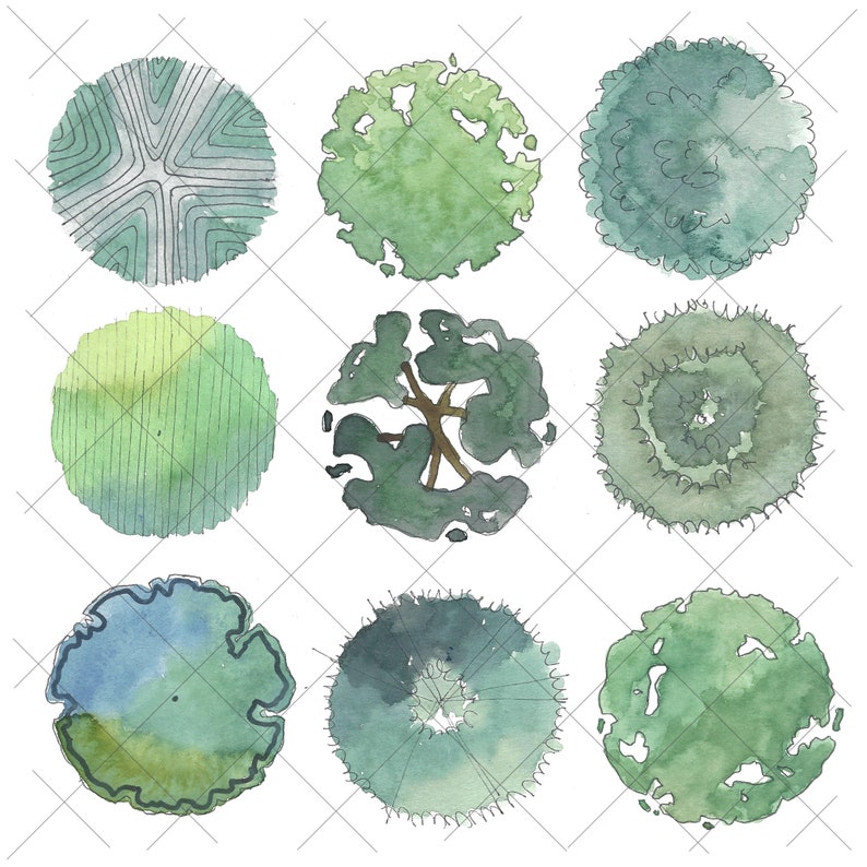 Landscape Graphics - Plan View Trees - Watercolor Pencil - Cool Green ...
