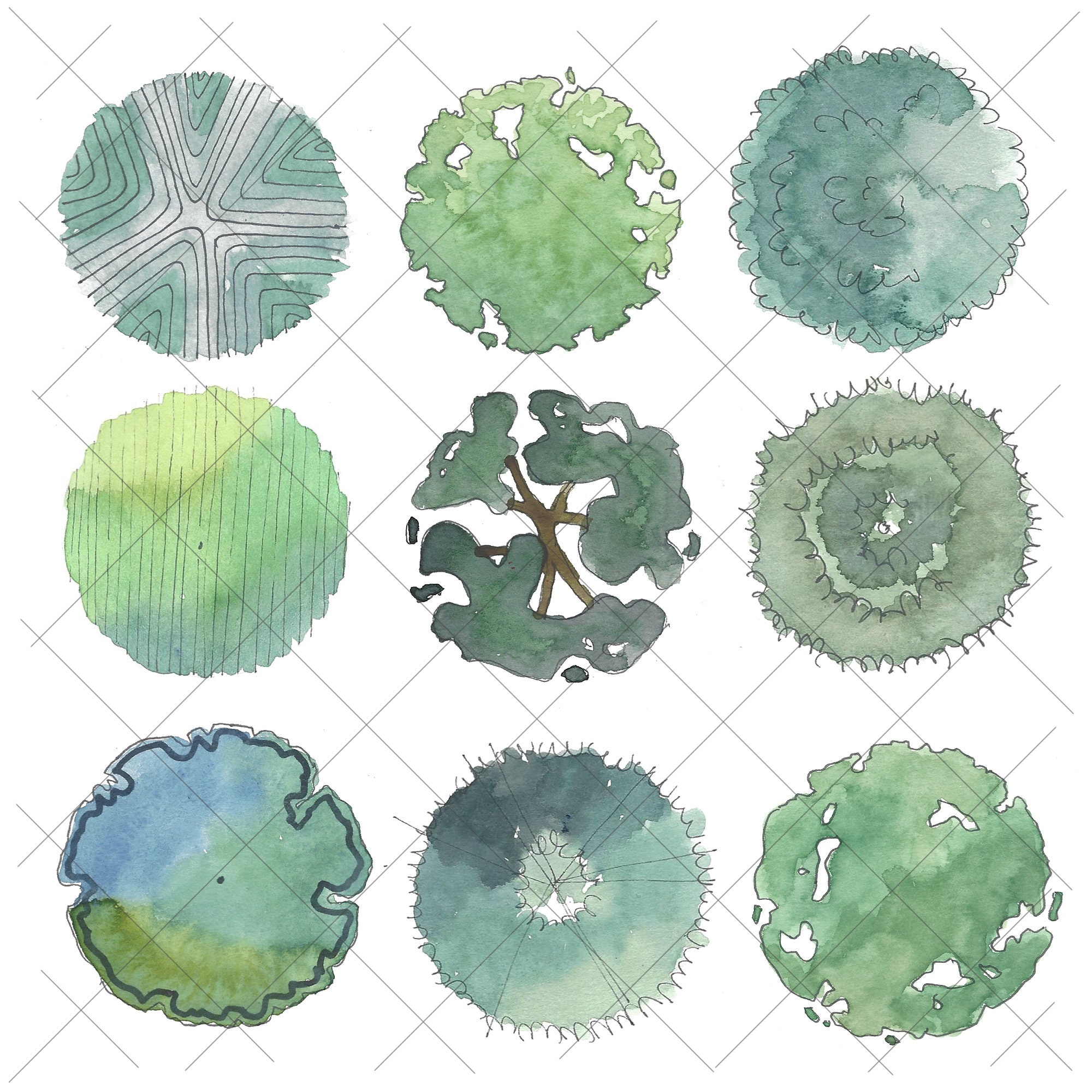 Landscape Graphics - Plan View Trees - Watercolor Pencil - Cool Green ...