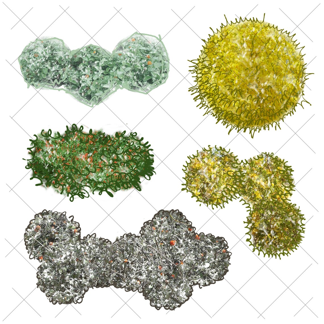 Landscape Graphics - Plan View Trees - Digital - Desert Plantings - Etsy