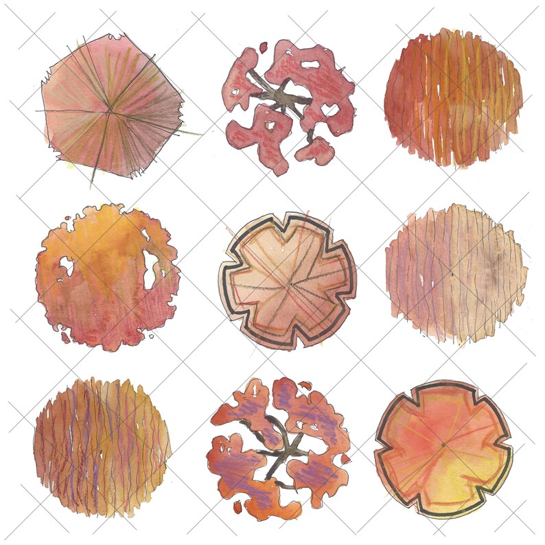 Landscape Graphics - Plan View Trees - Watercolor Pencil - Red Variety ...