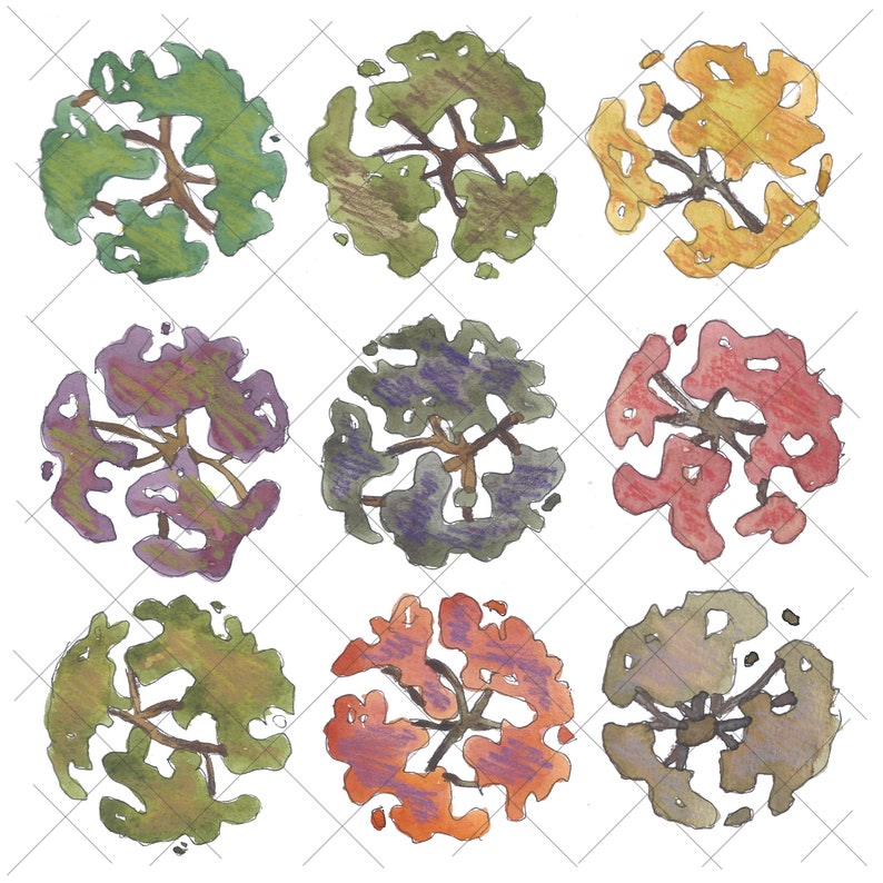 Landscape Graphics - Plan View Trees - Watercolor Pencil - Tree 011 - Etsy