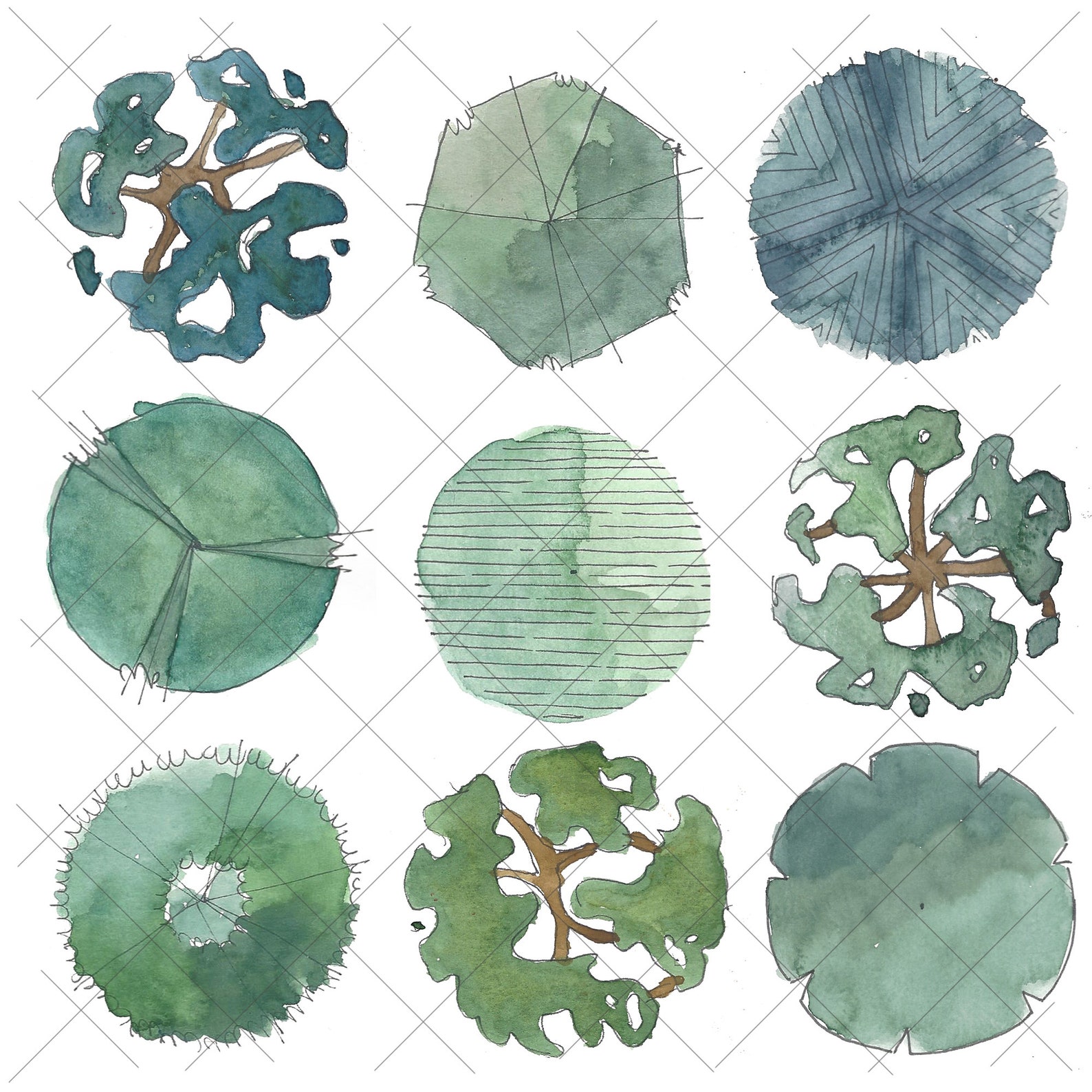 Landscape Graphics - Plan View Trees - Watercolor Pencil - Cool Green ...