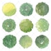 Landscape Graphics - Plan View Trees - Watercolor - Bright Green ...