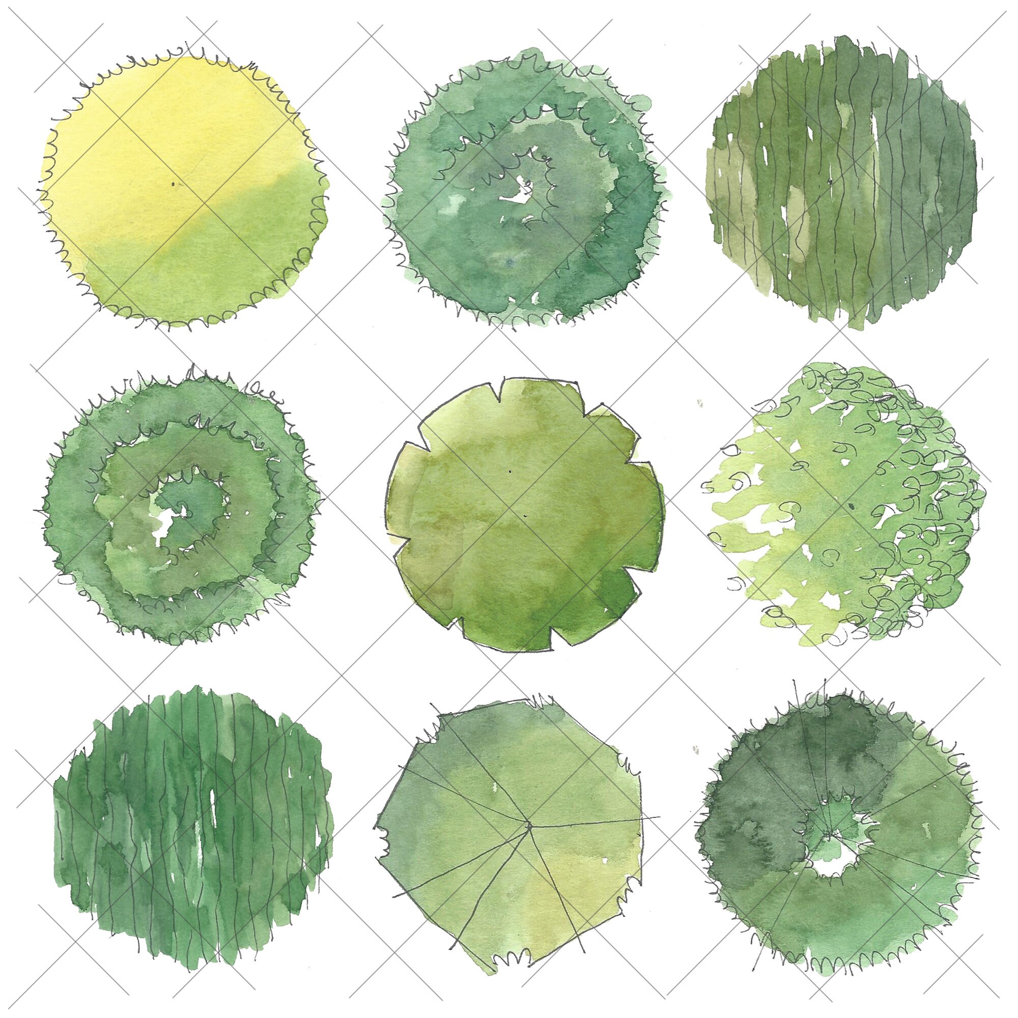 Landscape Graphics - Plan View Trees - Watercolor - Bright Green ...