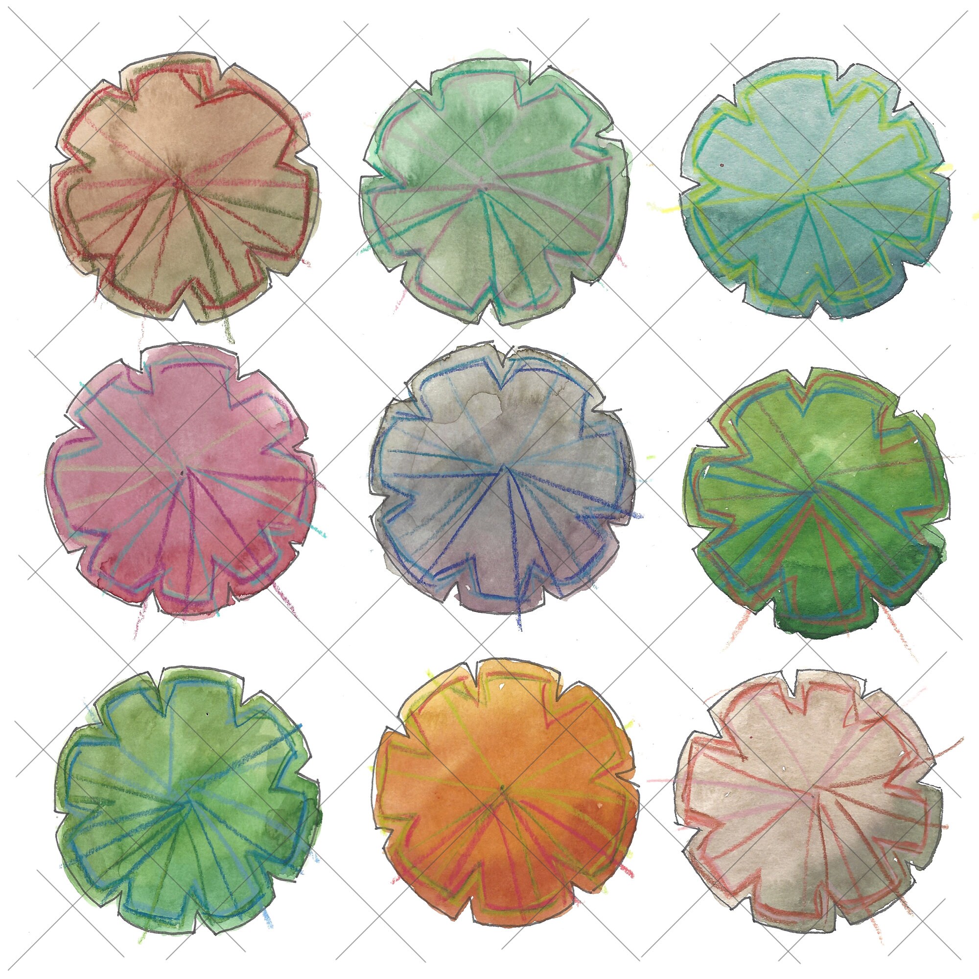 Landscape Graphics - Plan View Trees - Watercolor Pencil - Tree 017 - Etsy