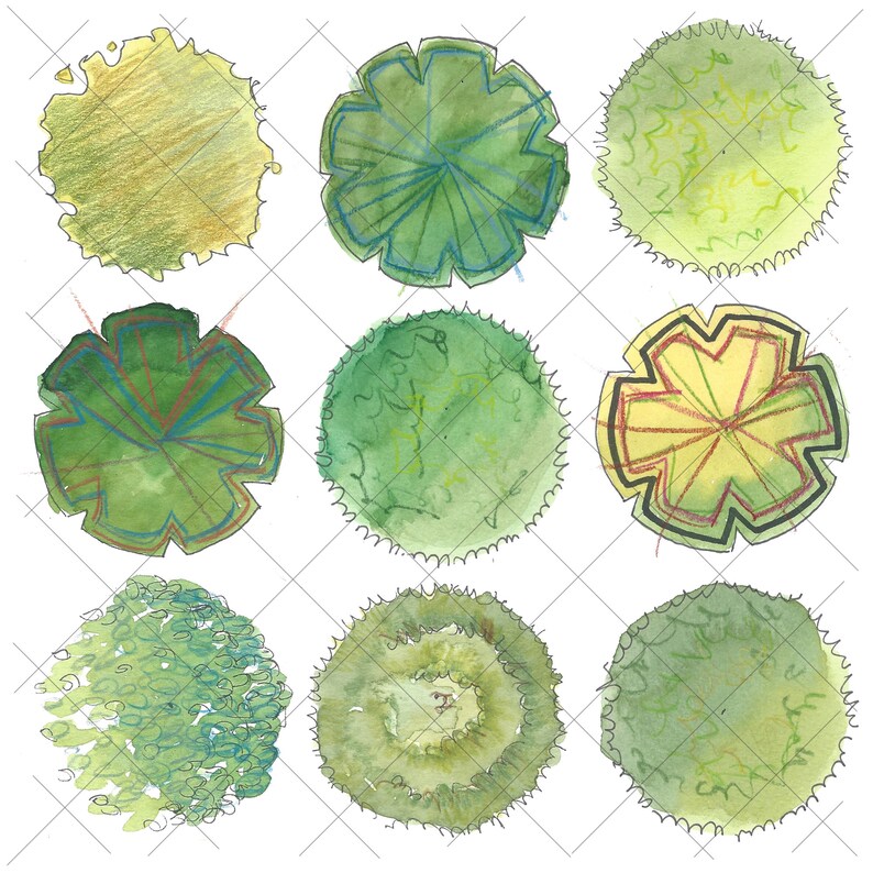 Landscape Graphics - Plan View Trees - Watercolor Pencil - Bright Green ...