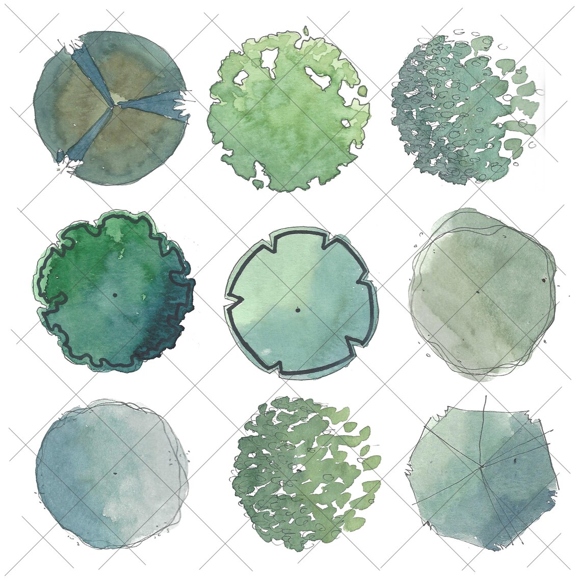 Landscape Graphics - Plan View Trees - Watercolor Pencil - Cool Green ...